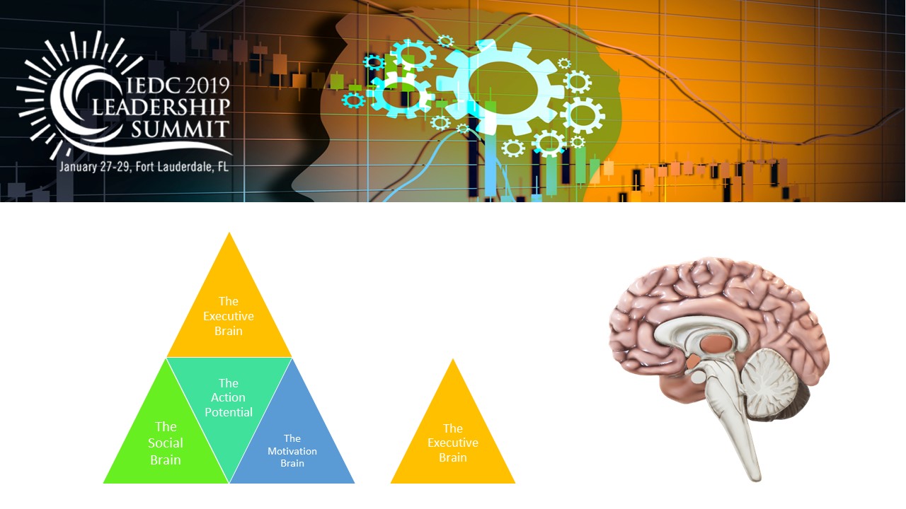 How Neuroscience Informs Leadership: Cliff Notes From the IEDC ...